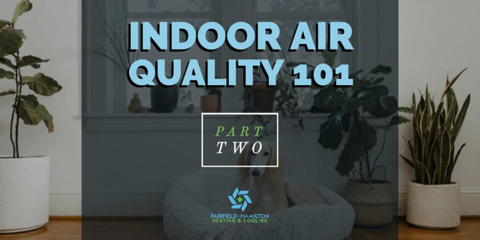 Indoor Air Quality 101 - Part 2: Common Sources of Indoor Air Pollution ...